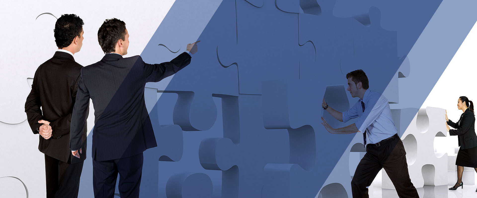 Online B2B Panel | B2B Market Research | B2B Research Panel | Precise ...